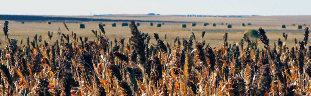 Rates - Snake Den Lodge